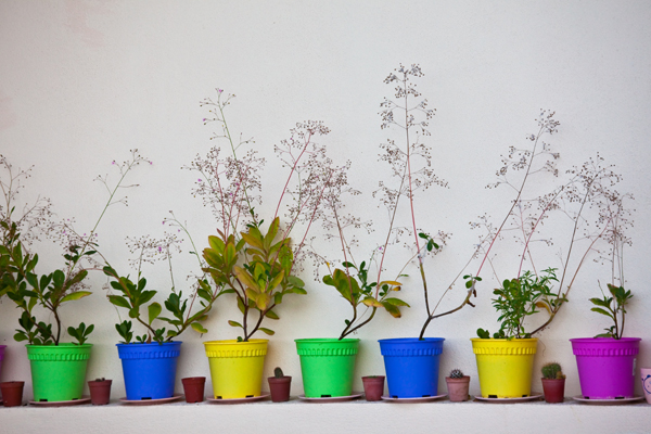 OhDeco: COLORÍN COLORADO