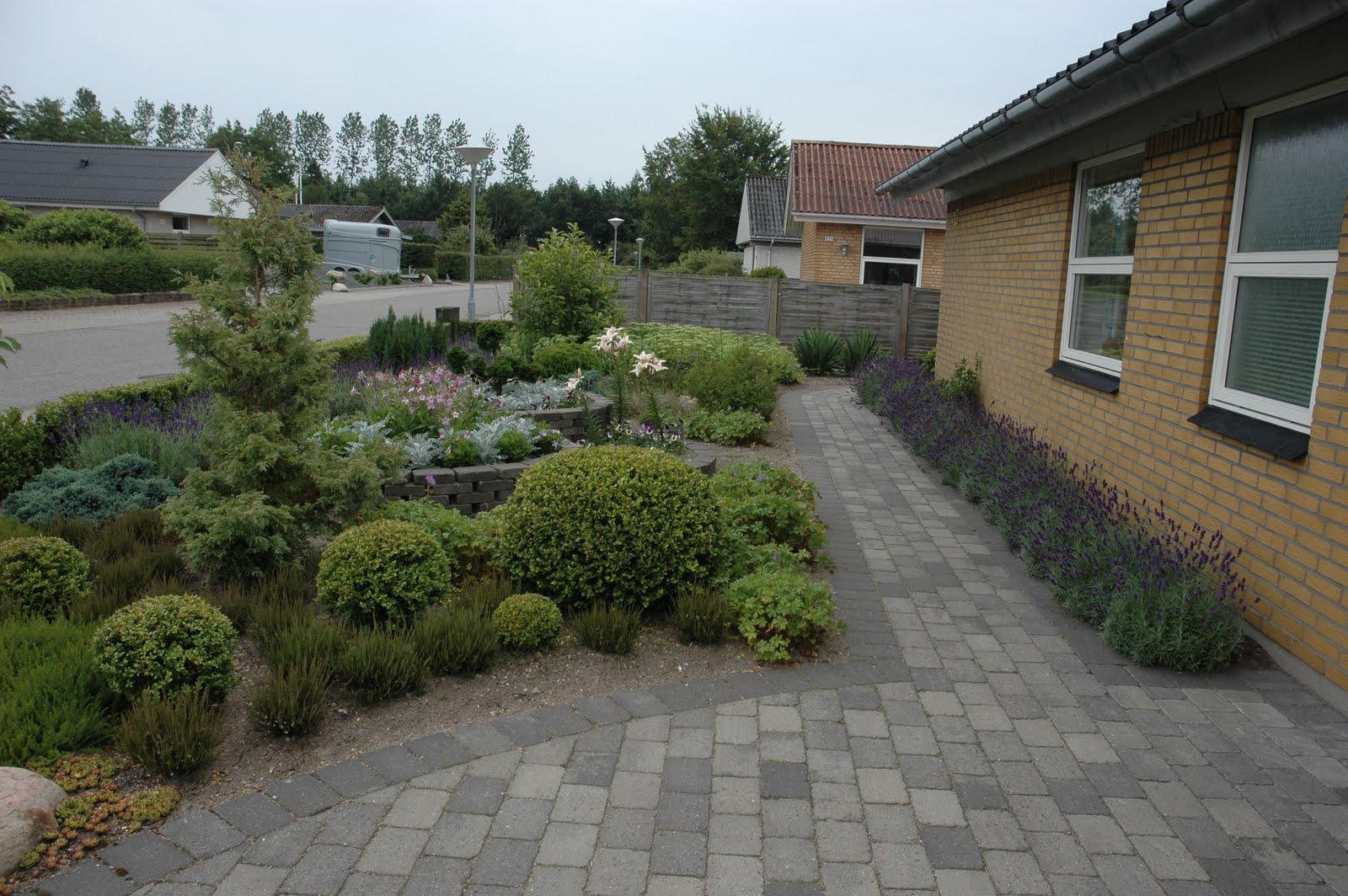 Mit grønne univers: Forhaven