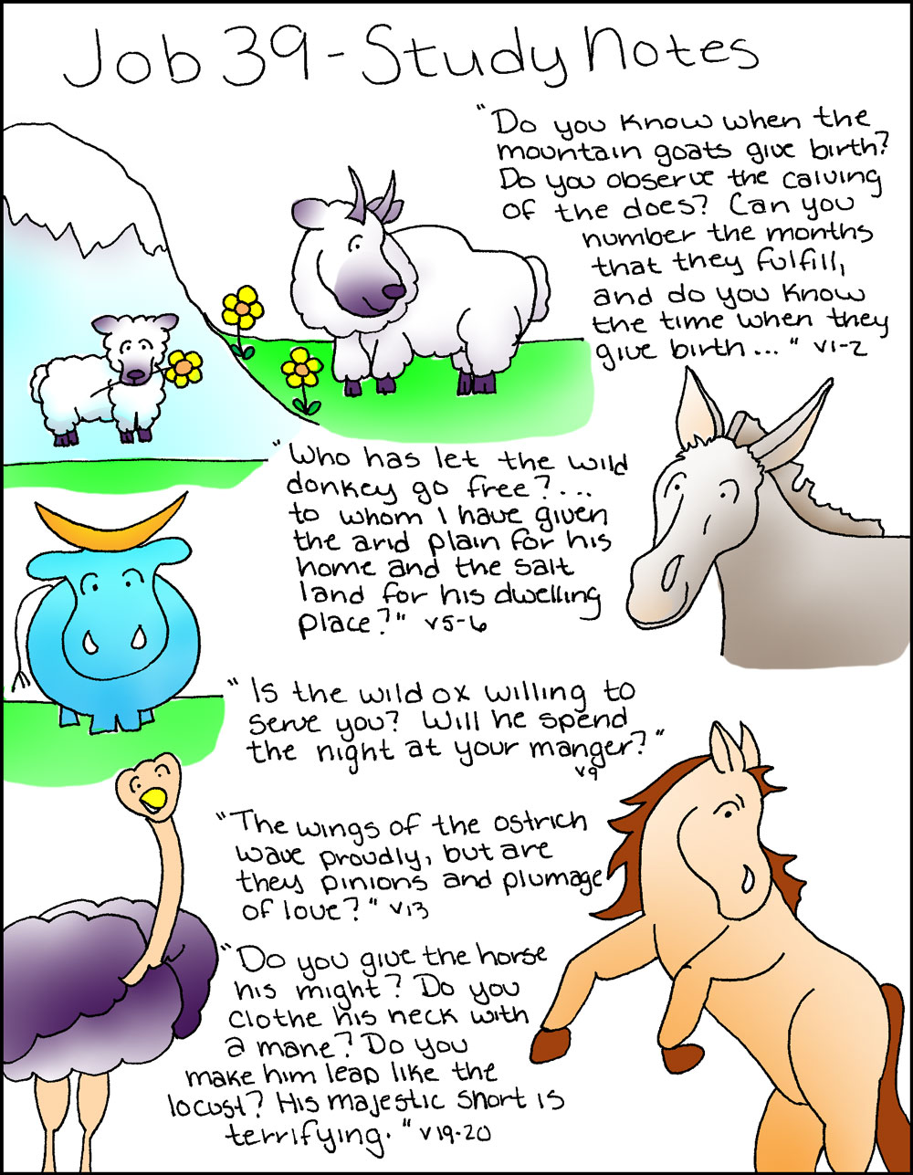 Doodle Through The Bible: Job 39