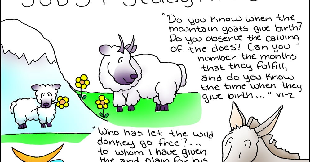 Doodle Through The Bible: Job 39