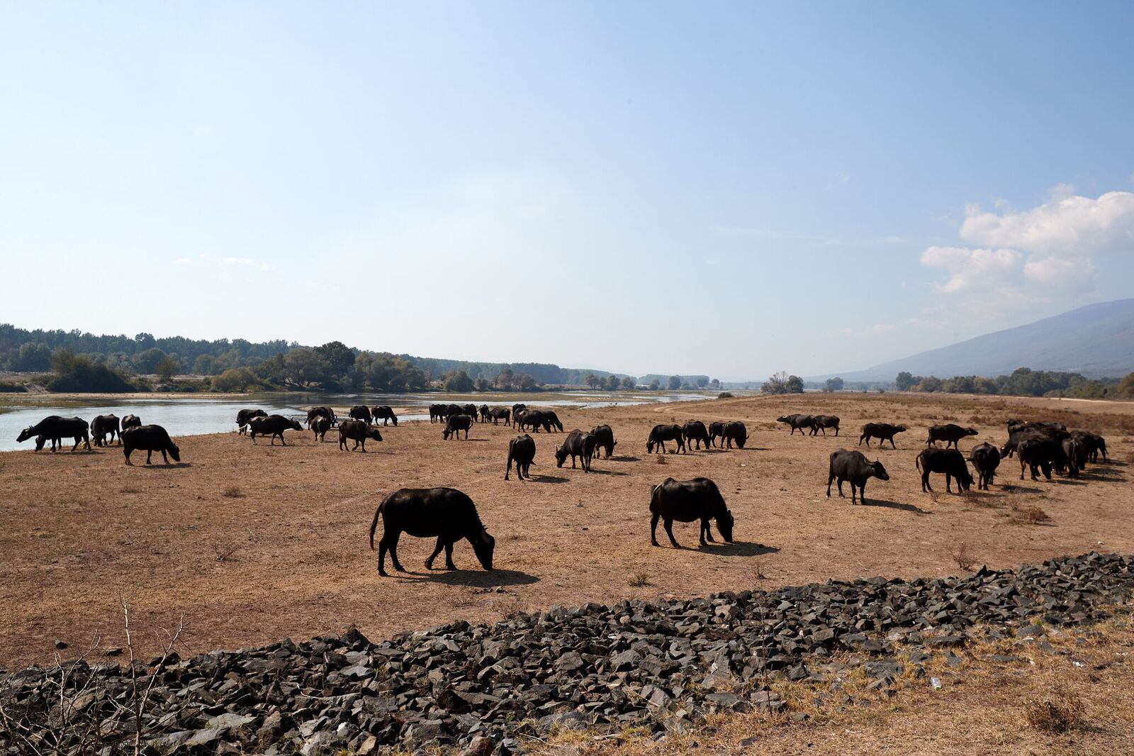Η ΓΡΑΦΙΔΑ ΤΗΣ ΣΙΝΤΙΚΗΣ : ΕΠΙΣΚΕΨΗ ΠΡΟΕΔΡΟΥ ΤΗΣ Ν.Δ. Κ. ΚΥΡΙΑΚΟΥ ...