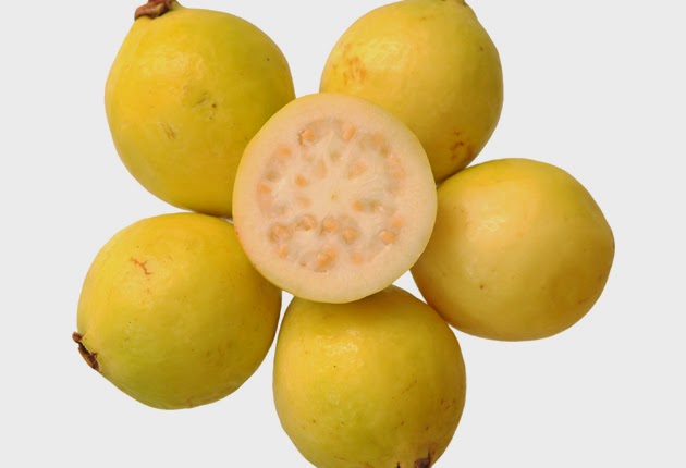 Animales y Plantas de Perú: Guayaba - Psidium guajava