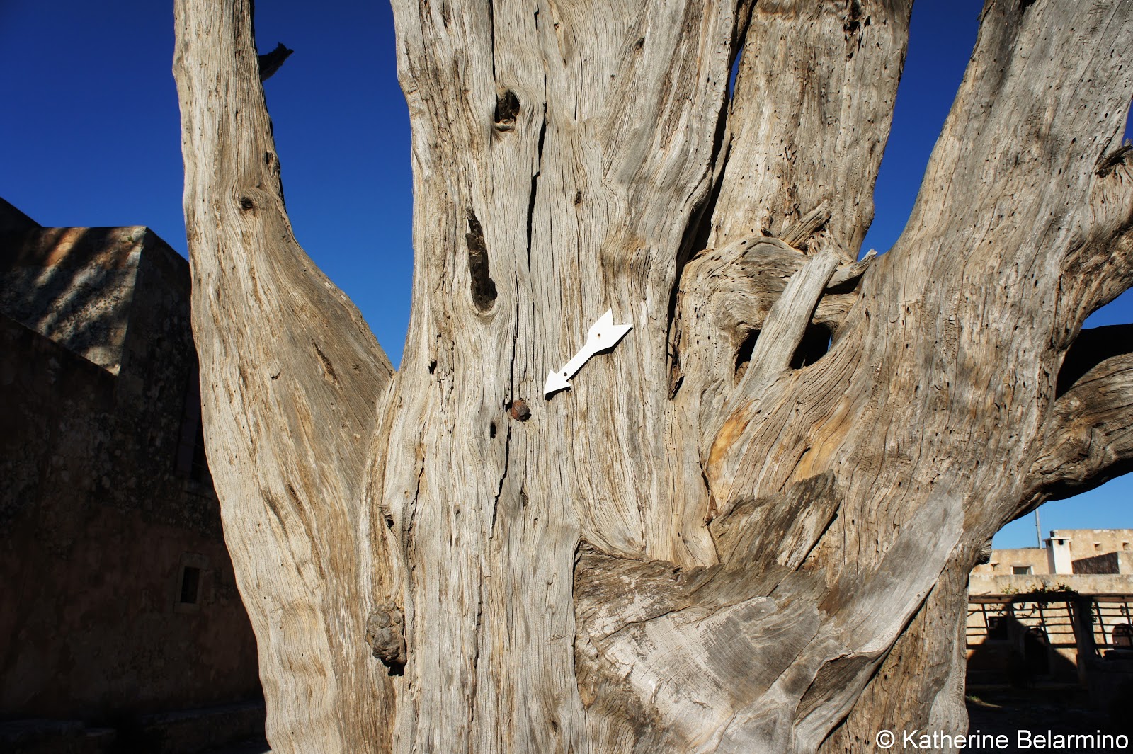 Fun Things to Do in Crete ~ World Traveller Diary