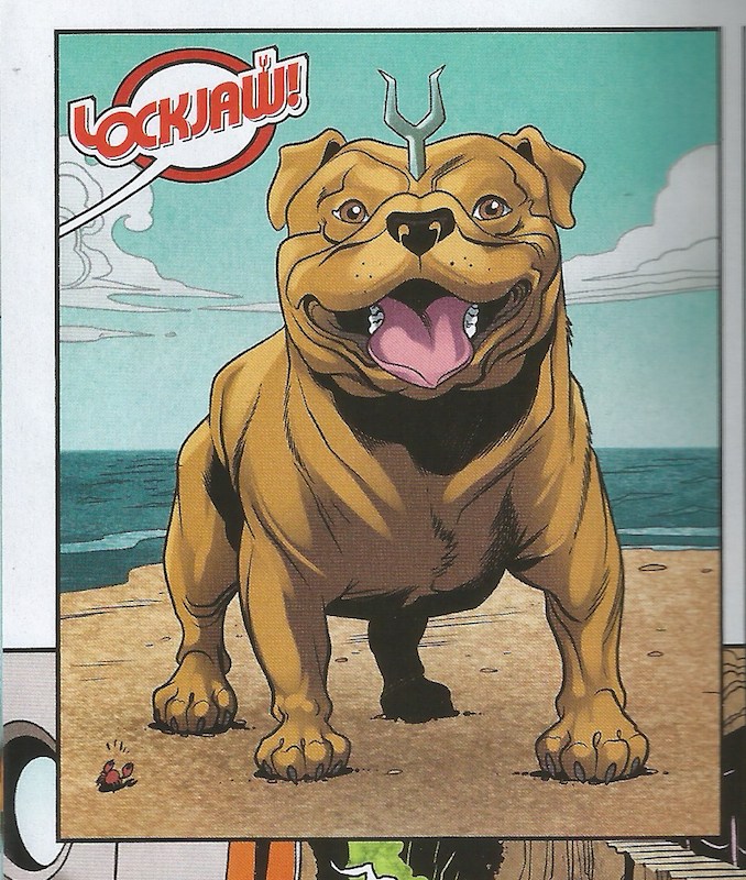 Pick of the Brown Bag: POBB February 21, 2018