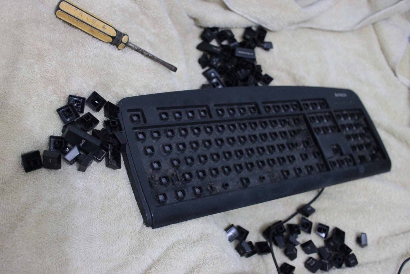 RIbI: DIY Keyboard Ref Magnet