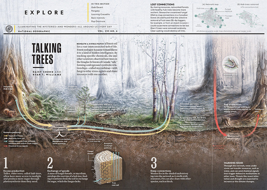 Infographics, Maps, Music and More: Great Infographics from National ...