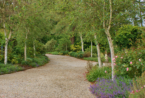 Willowbrook Park: Hoggin...