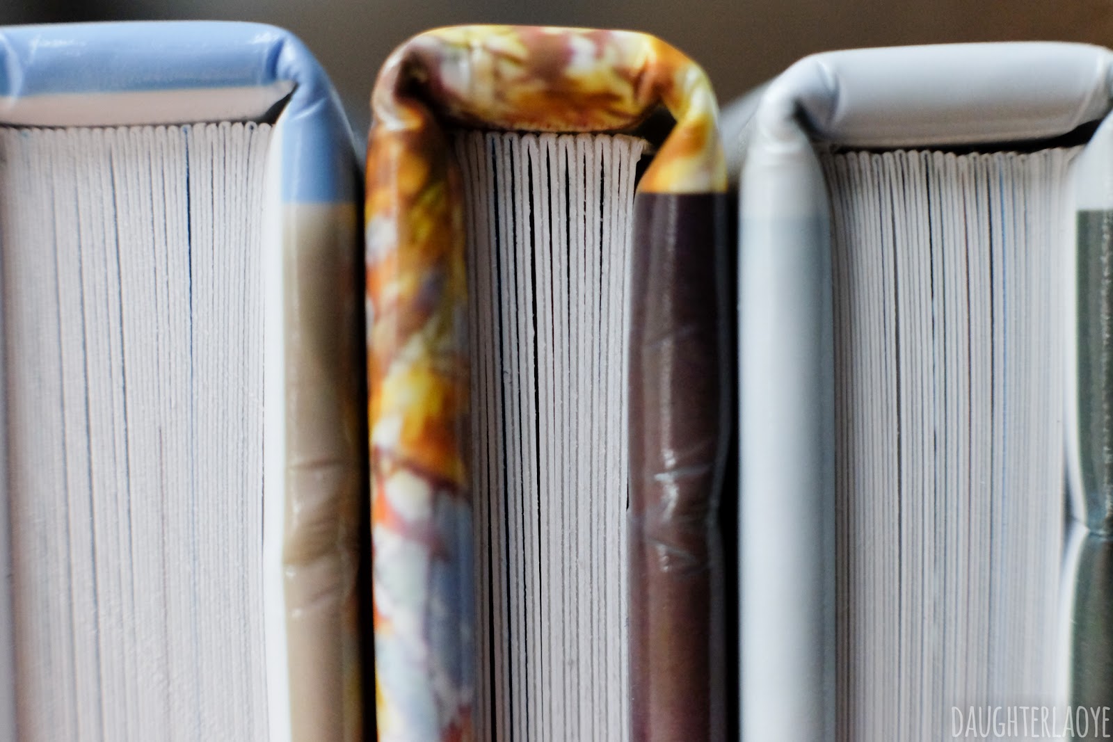 Daughter Lao Ye: Photobook Review: AdoramaPix (Software and Paper Types)