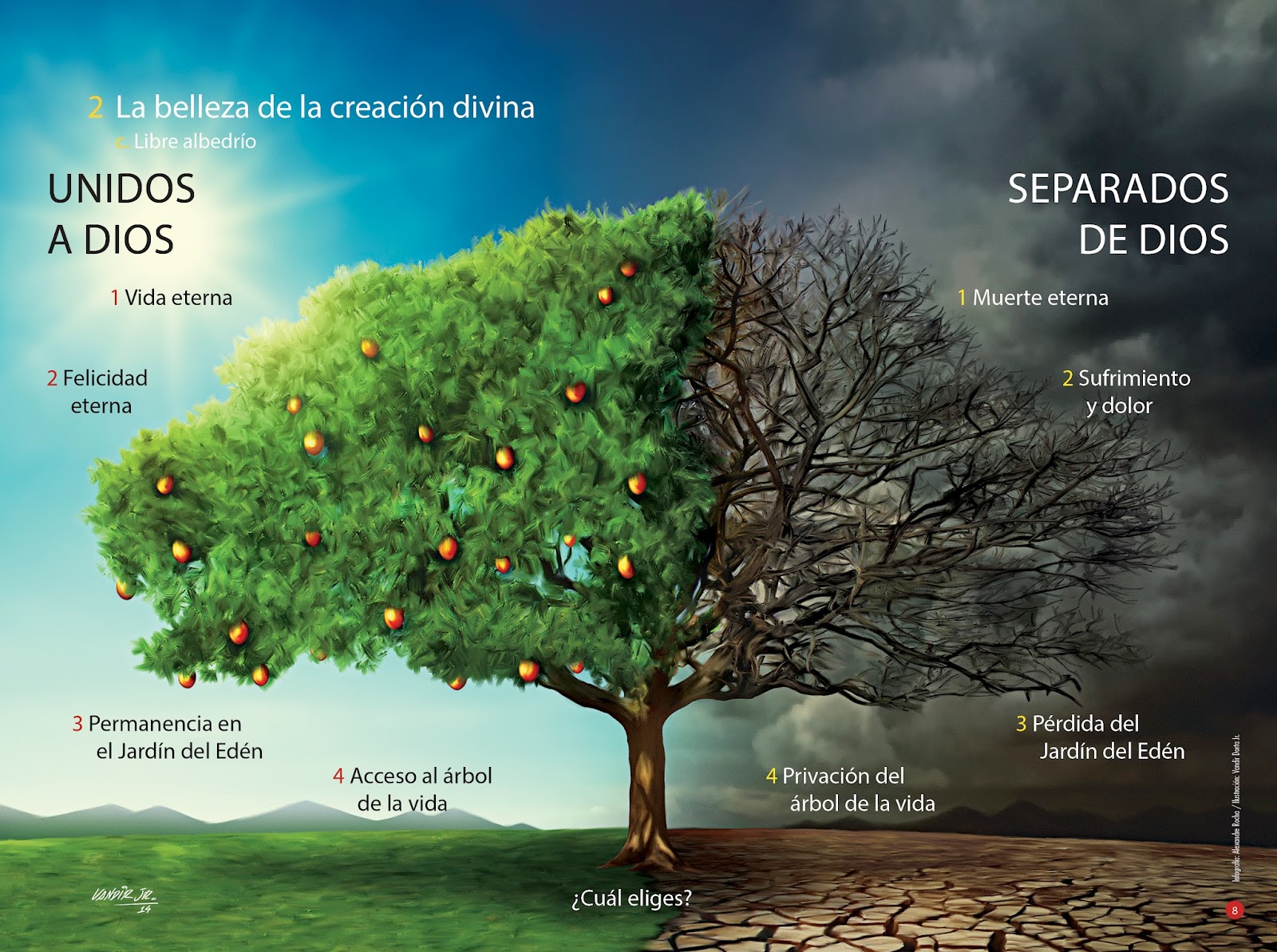 Estudio Bíblico Illustrado | 02 La belleza de la Creación Divina ...