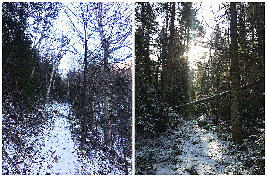 Hiking in the White Mountains: Livermore Pass and the Old Town of ...