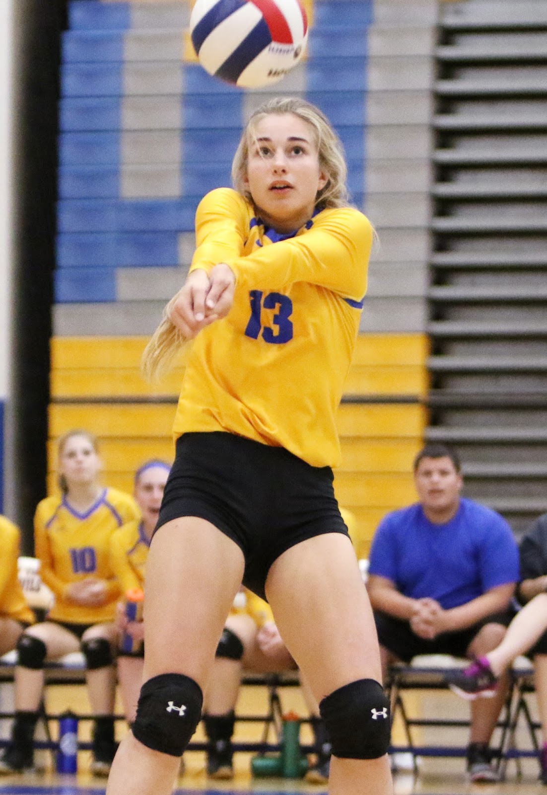 Mark Kodiak Ukena: IHSA Varsity Girls Volleyball: Lake Forest vs Warren ...