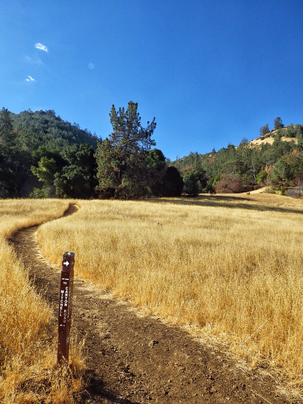 Planks, Fartleks, and Family Fun: Eagle Peak Trail to Mitchell Rock ...