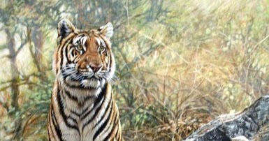 British Animal Artist Alan M Hunt: Amazing British Wildlife Artist