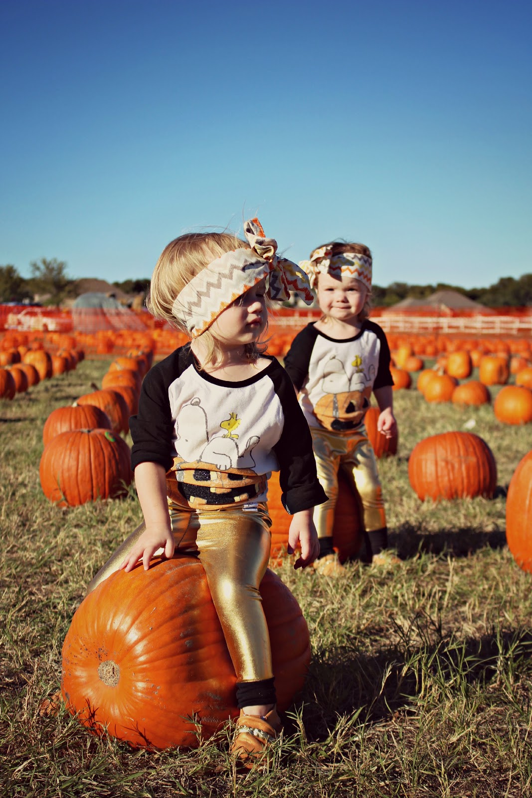 PB+J Babes: Pumpkin Patch Kids | 2014