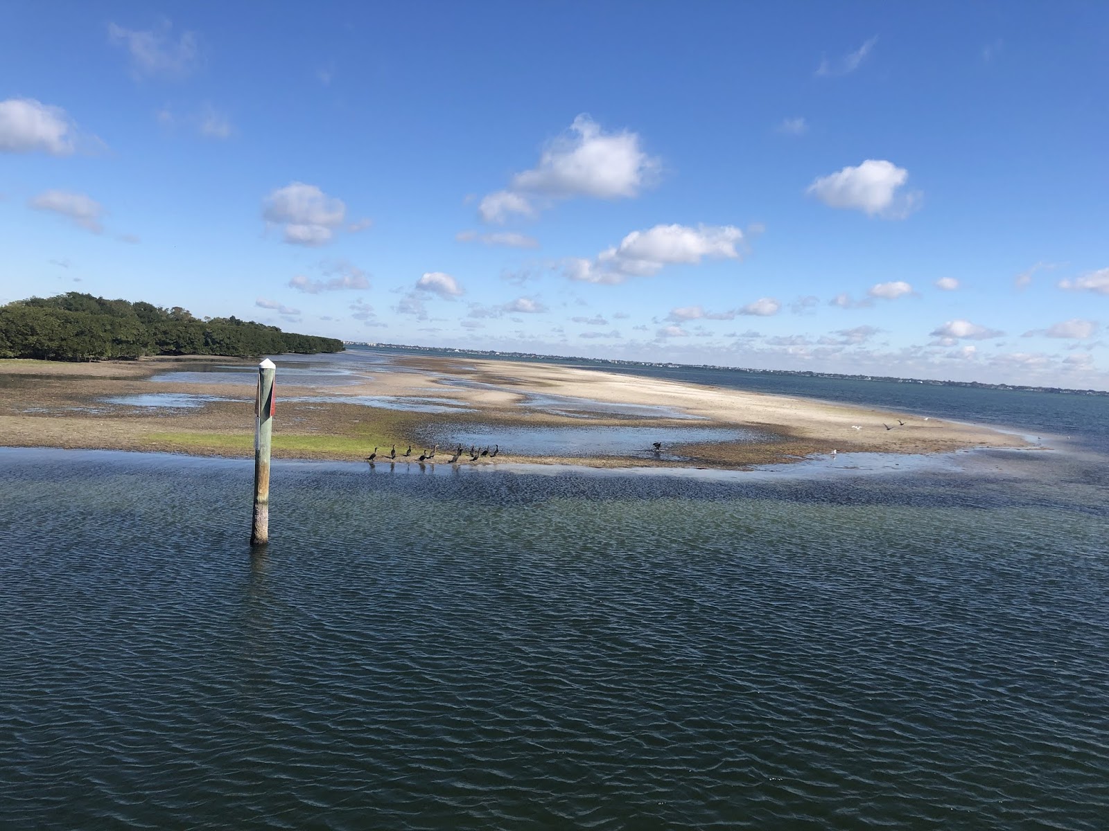 ssloop: Longboat Key-Marco Island - Jan 26-Jan 31