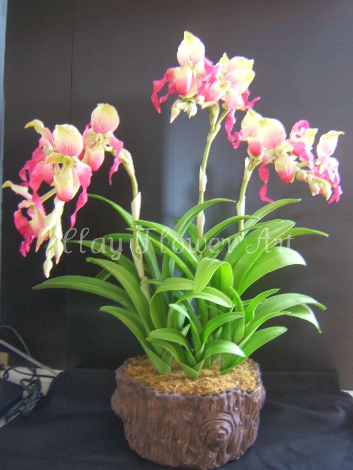 Paph. Parishii - Clay Flower Art
