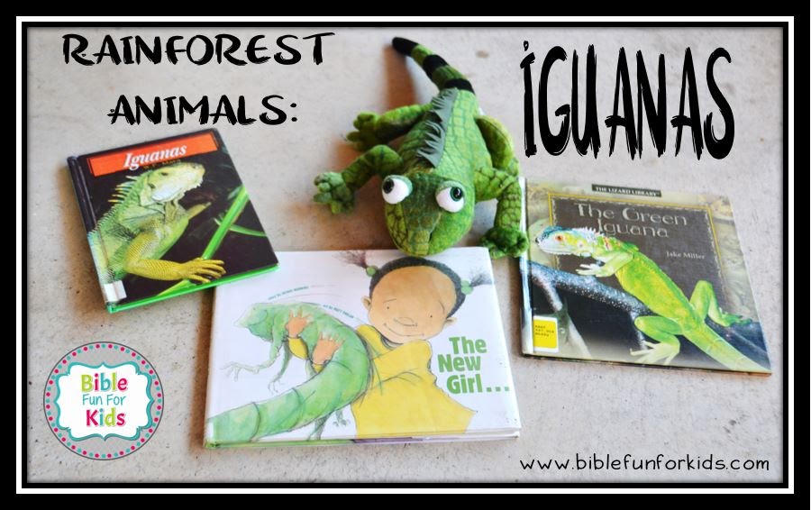God makes the Rainforest Animals: Iguana | Bible Fun For Kids