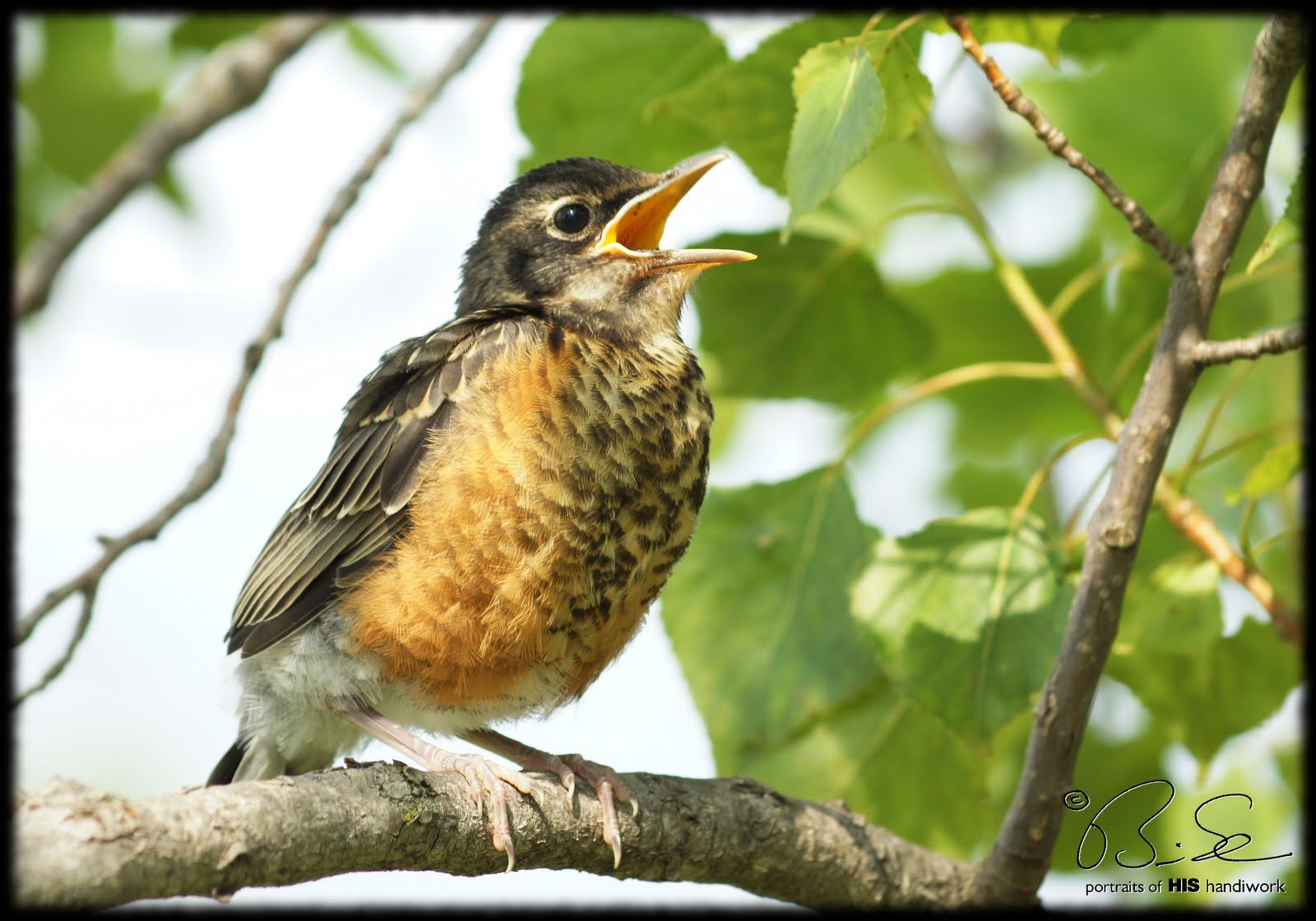 portraits of HIS handiwork: Long Point Provincial Park