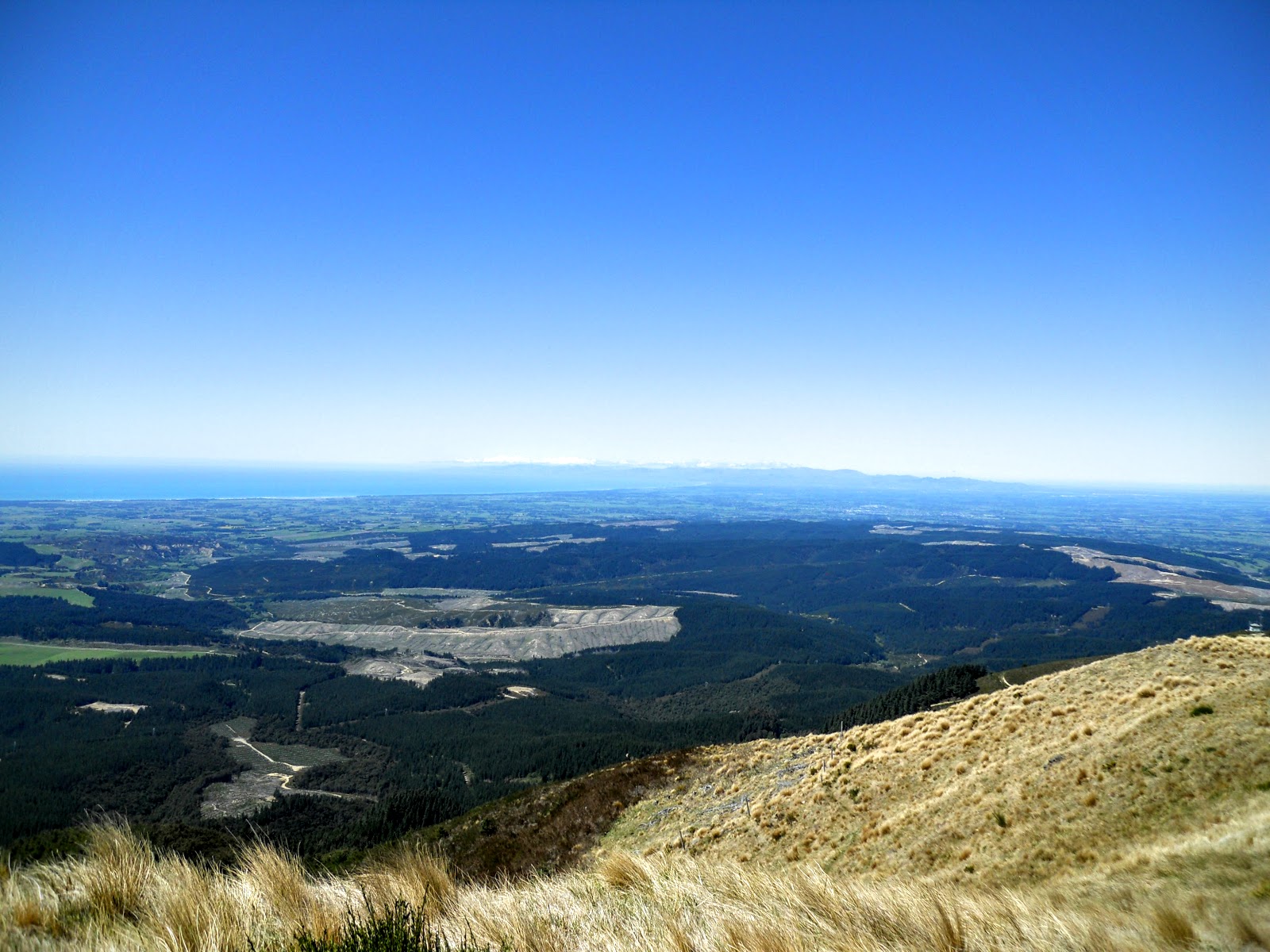 Tramping in the New Zealand backcountry: NZ Bush Adventures: Mt Grey ...
