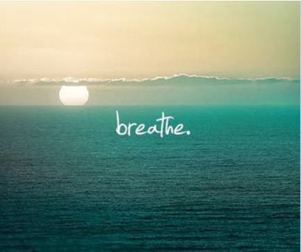 Tracy's Wisdom Tree: Breath. . . .Breathe your way.