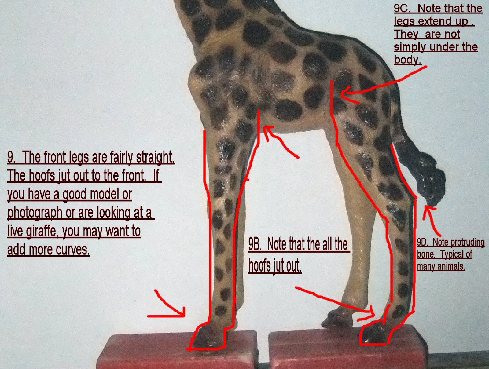 Pauline Persing Art, Writing,& Natural History: Drawing a Giraffe, A ...