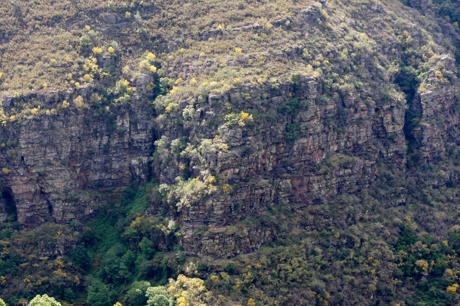 Pedras & Bichos: Sinclinal de la sierra del Courel, un monumento ...