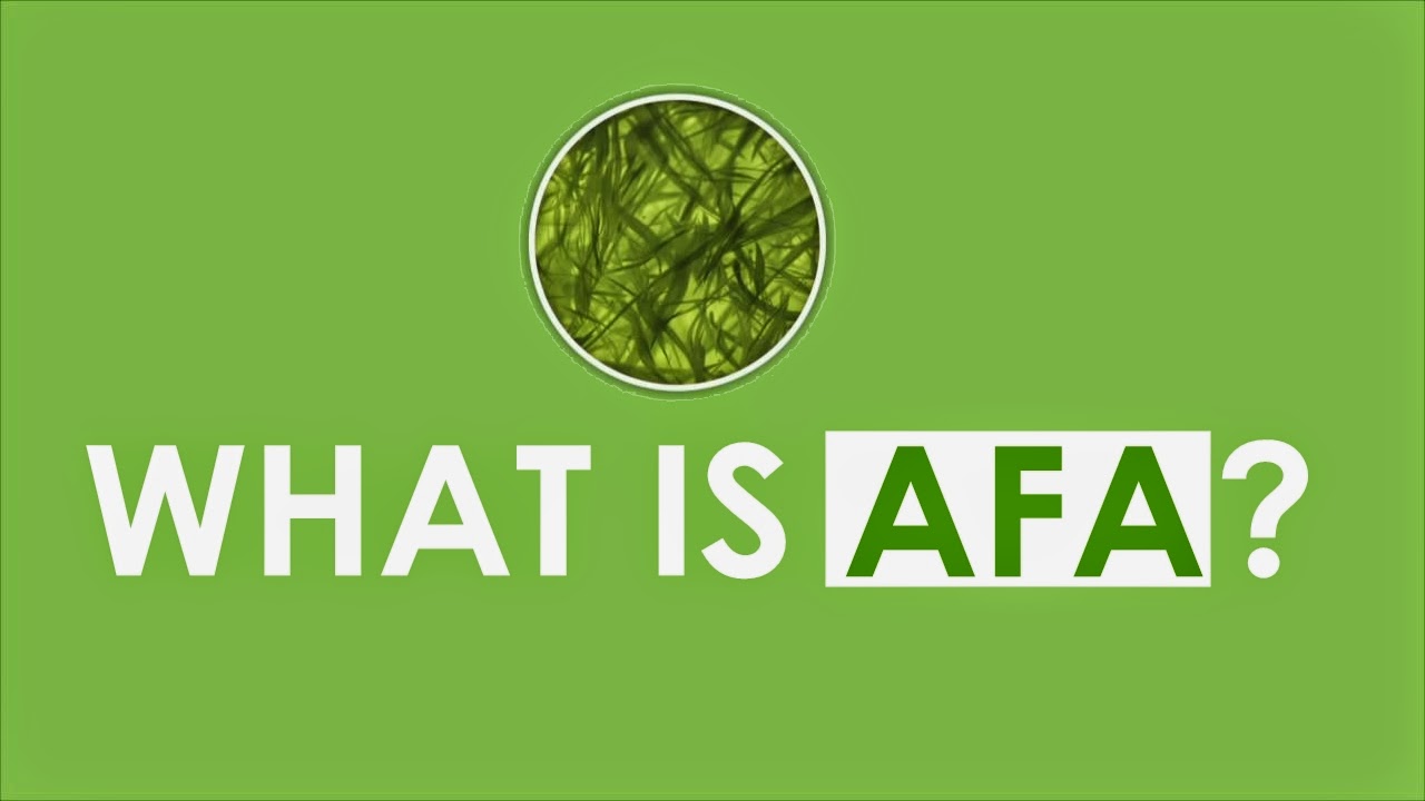 Infinity Supreme Alliance Philippines Inc.: What's AFA?