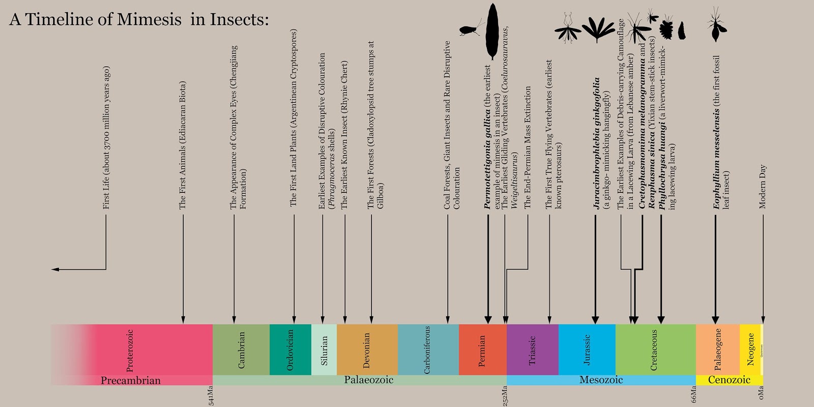 Sneaky Flies and Ginkgo Leaves: The Story of Plant Mimesis in Fossil ...
