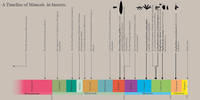 Sneaky Flies and Ginkgo Leaves: The Story of Plant Mimesis in Fossil ...