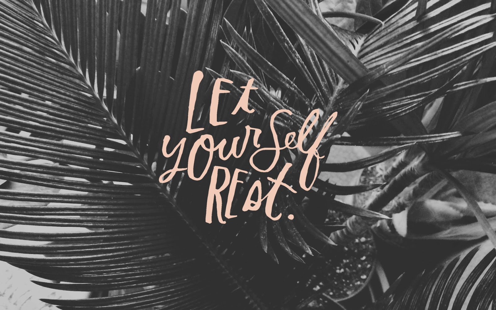 Amalie Mover: Flotte Baggrunde Til Telefon Og Pc!