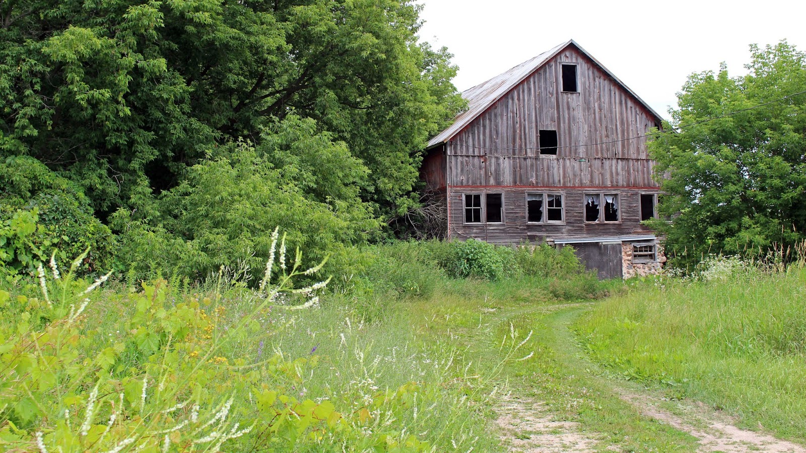 sconzani: Old barns of Wisconsin
