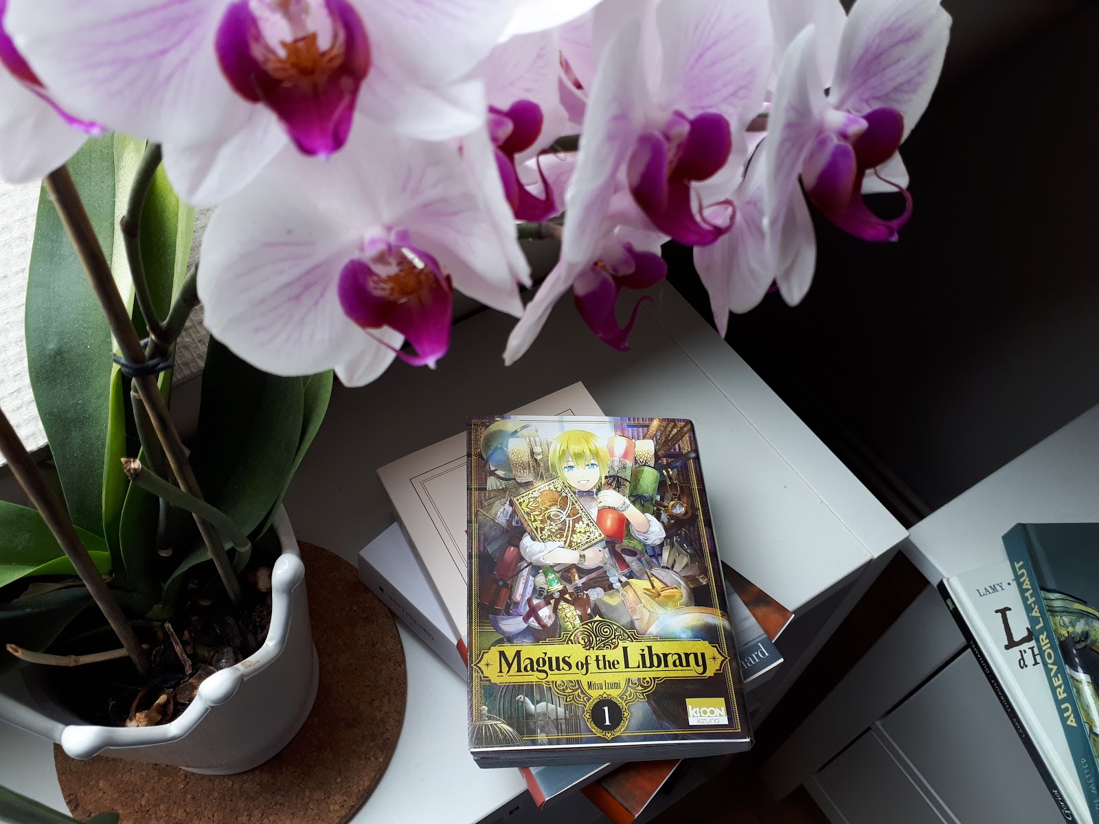 La bibliothèque de Marjorie: Magus of the library (tome 1) - Mitsu Izumi