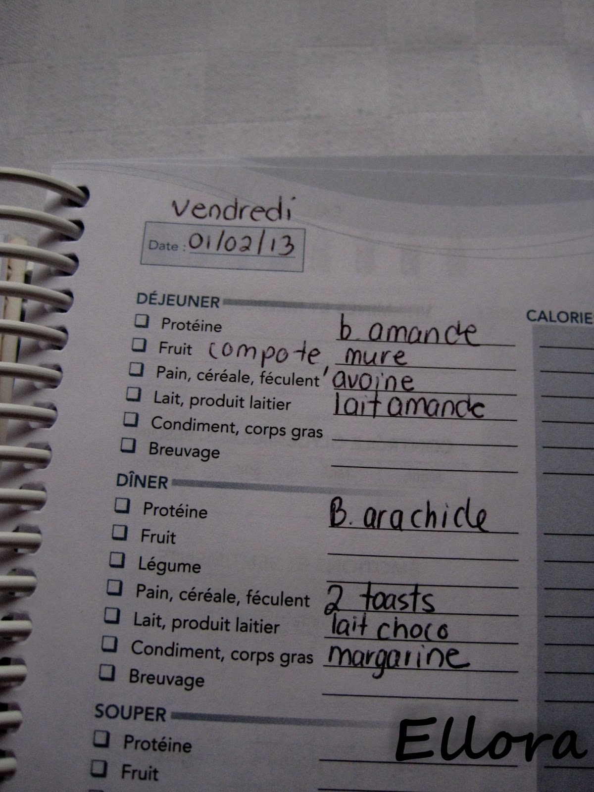 Retour vers la santé: Deuxième outil : Mon Journal Santé