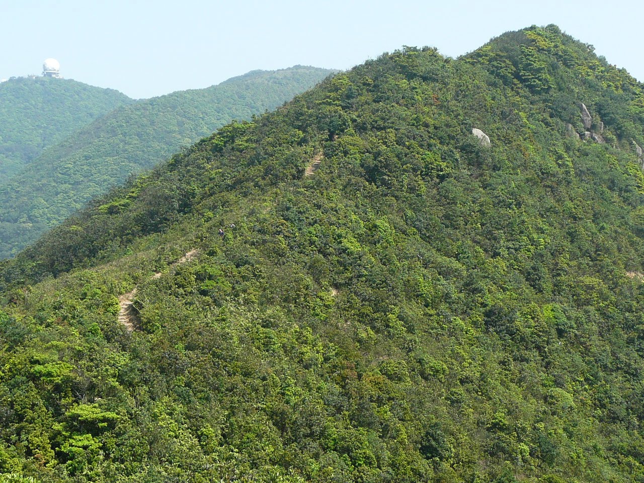 WEBS OF SIGNIFICANCE: From Mount Butler down to Braemar Hill (Photo-essay)
