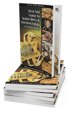 The Scorpion Files Newsblog: First aid guide to spider bites & scorpion ...