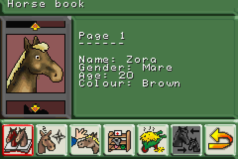 VGJUNK: PIPPA FUNNELL: STABLE ADVENTURE (GBA)