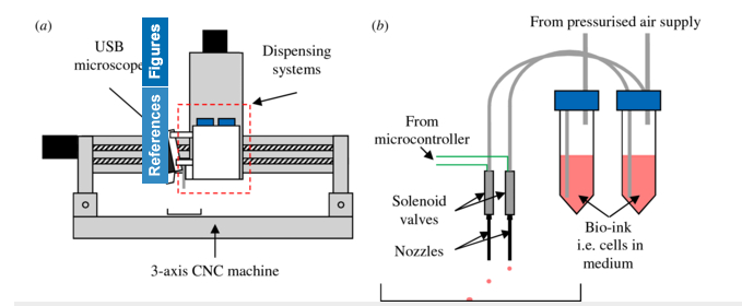 Printing human embryonic stem cells | NextBigFuture.com