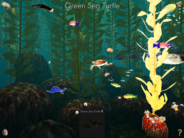 Interactive eBooks - Surfin' Through Second