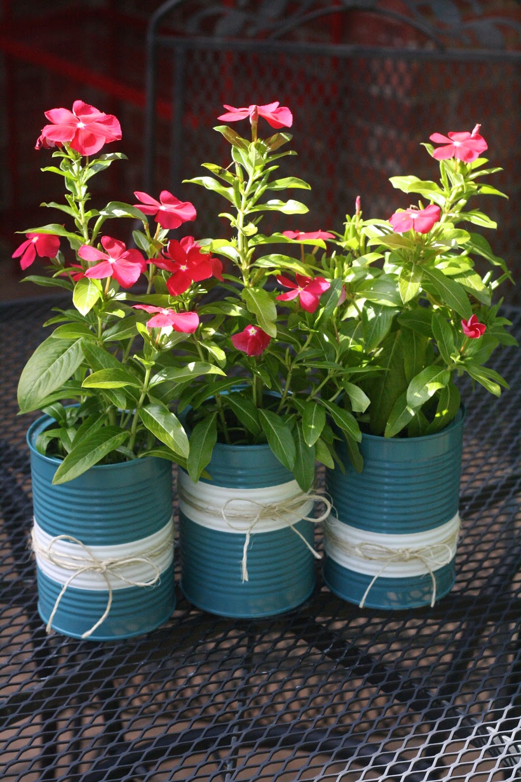 Woodbank Lane: Coffee can project...