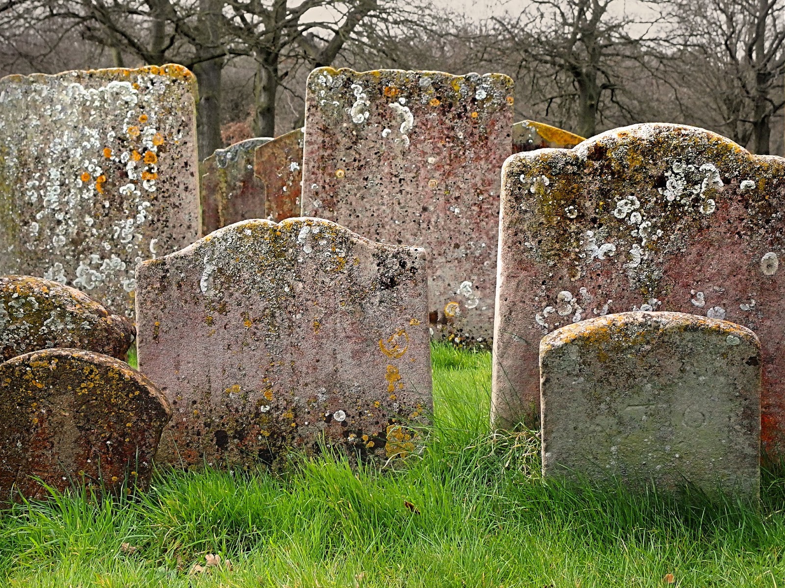"By Stargoose And Hanglands": Churchyards - Matters Of Death And ...