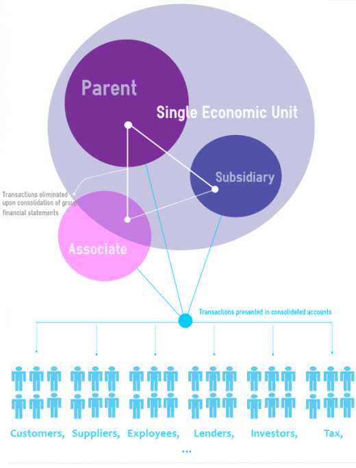 Single Economic Entity Concept | Consolidation Accounting | FINANCE