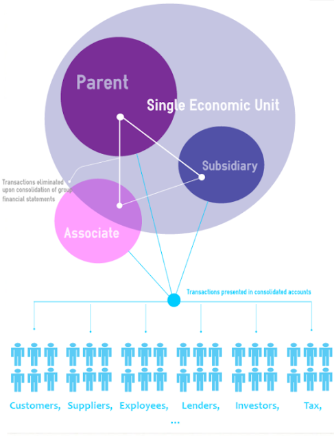 Single Economic Entity Concept | Consolidation Accounting | FINANCE