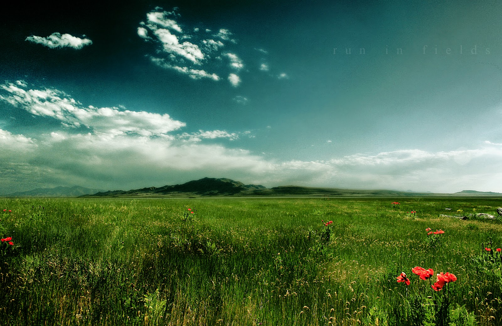 AS MAIS BELAS IMAGENS DA NATUREZA