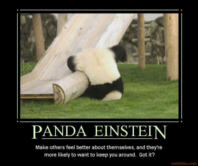 Panda Demotivational Posters | Unmotivational Posters - Demotivational ...