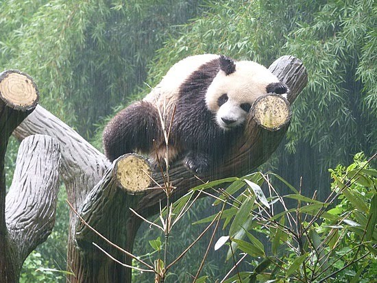 Morton's Musings: Rainy and cold