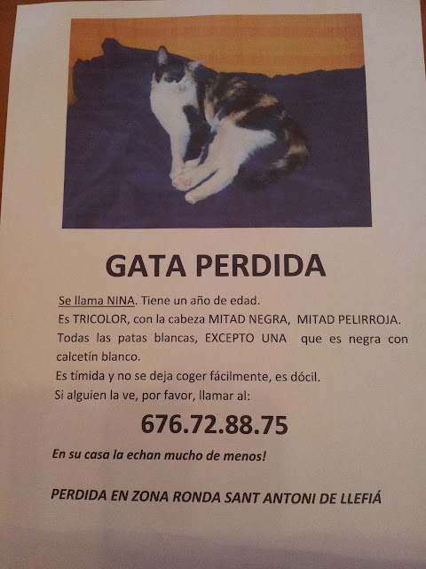 Gats perduts / Gats trobats.: de setembre 2012