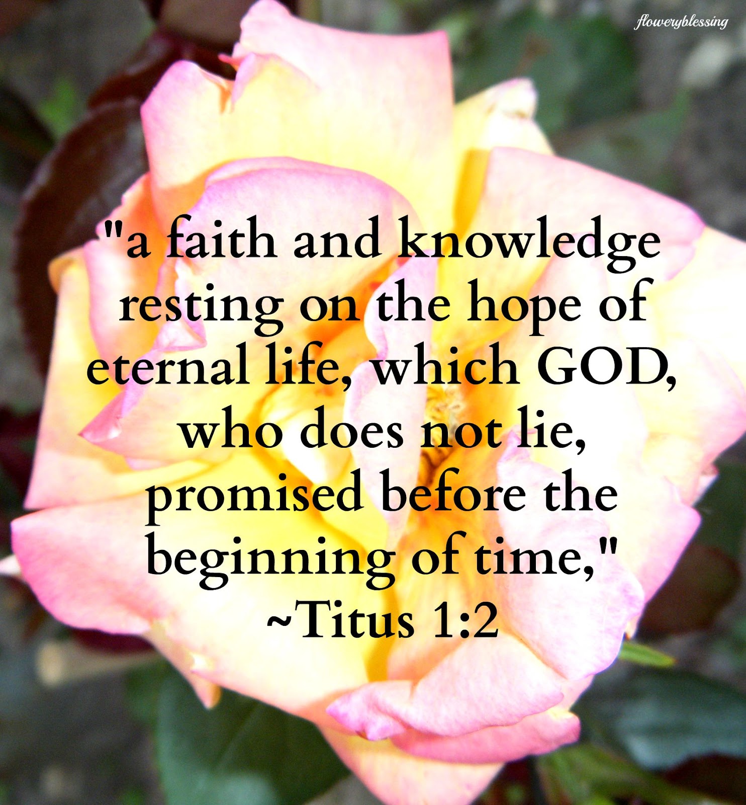 Flowery Blessing: "a faith and knowledge resting on the hope of eternal ...