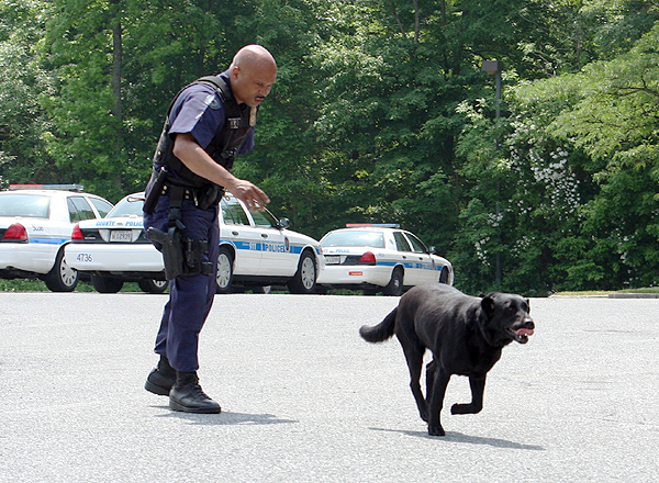 PGPD News: PGPD Welcomes New Explosives Detection K-9