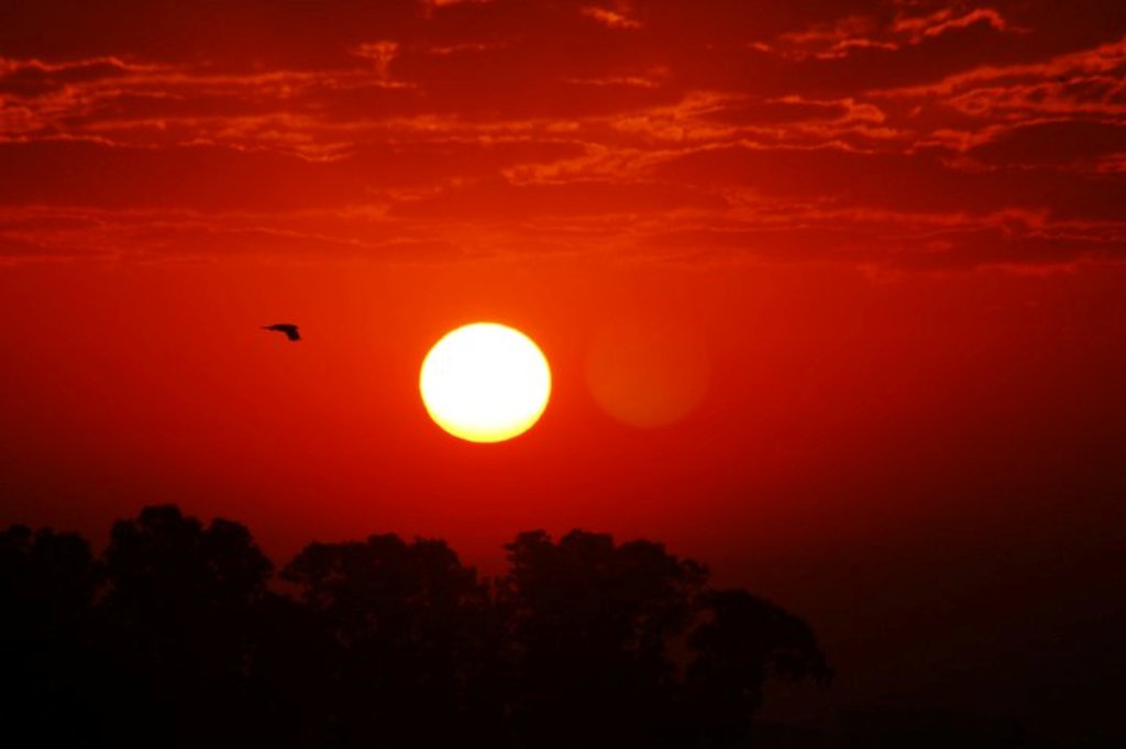 El Chaltén por Andy Bier - Fotografía : Revista El Bosco