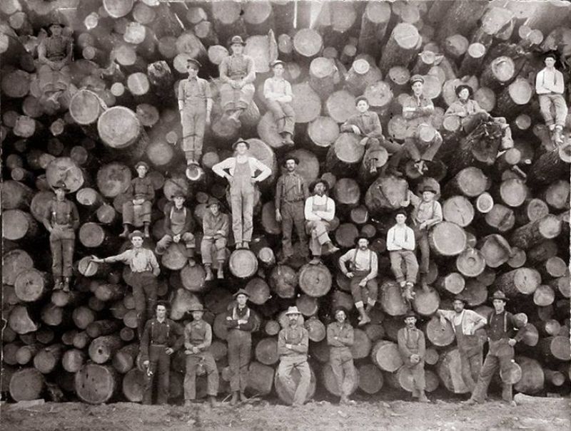 20 Vintage Photos of Lumberjacks Who Felled Big Trees Using Only Hand ...